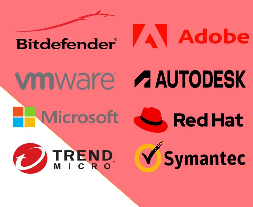 IT For Business Solution